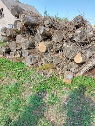 Azuolo rastai, mediena - Skelbiu.lt