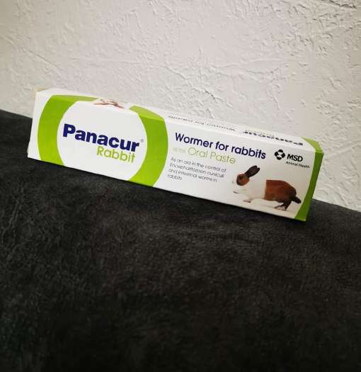 Panacur rabbit pasta - Skelbiu.lt