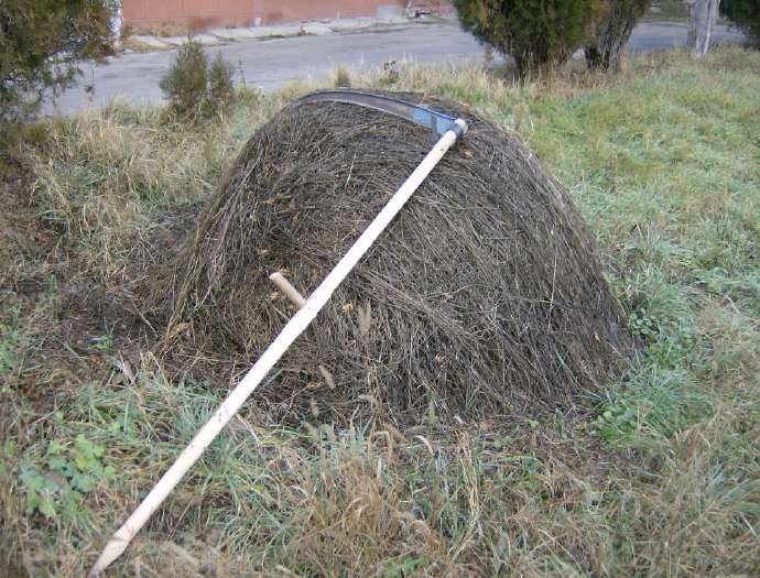 Nupirksiu dalgį , dalgis ,dalgius. Куплю косу,косы - Skelbiu.lt