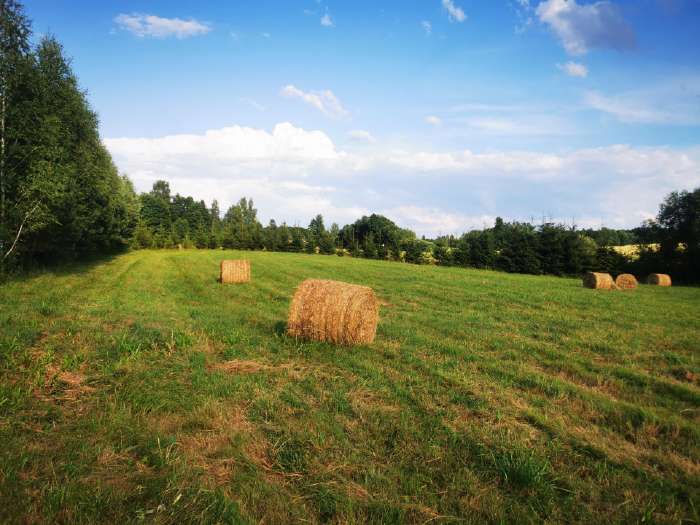 Natūralios pievos šieno rulonai - Skelbiu.lt