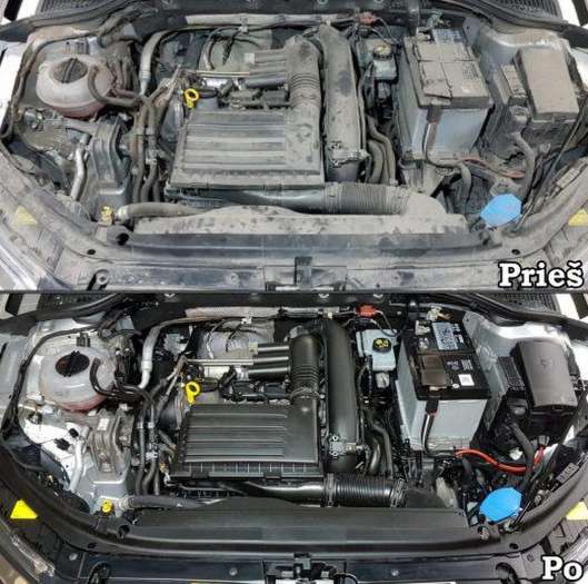 Variklio plovimas | A17172883