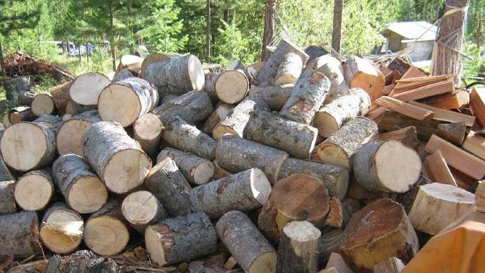 Malkos/drebulė - Skelbiu.lt