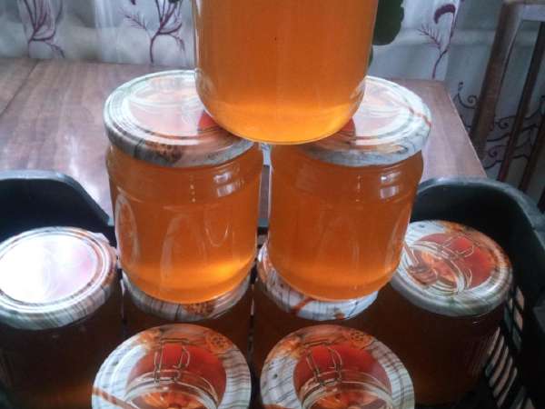 naturalus medus skelbimai - Skelbiu.lt