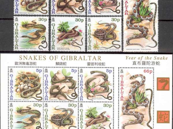 gyvates skelbimai - Skelbiu.lt