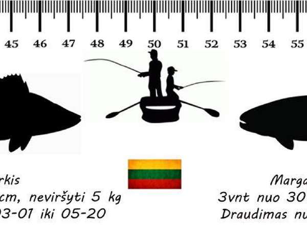 liniuotes vilnius skelbimai - Skelbiu.lt