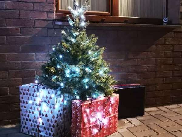 kenis skelbimai - Skelbiu.lt