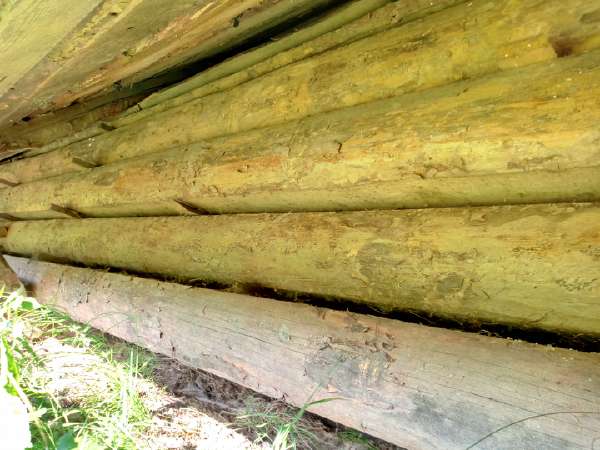 Ąžuolo rąstai iš seno dvaro namų apdailai - Skelbiu.lt