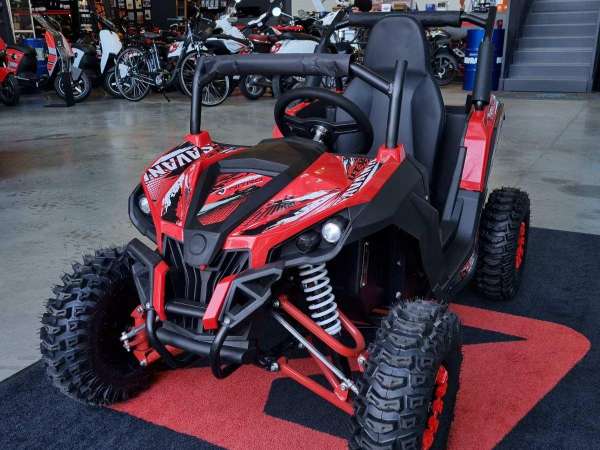 Elektrinis bagis reduktorinis variklis 1200w 48v - Skelbiu.lt