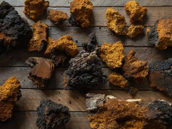 berzo grybas skelbimai - Skelbiu.lt