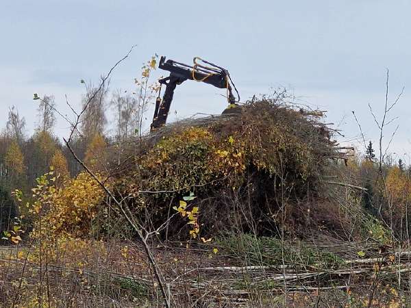 biokuro kirtimas skelbimai - Skelbiu.lt