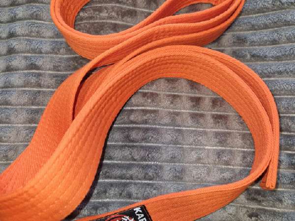 karate dirzas vilnius skelbimai - Skelbiu.lt