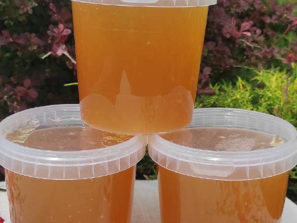 naturalus medus skelbimai - Skelbiu.lt