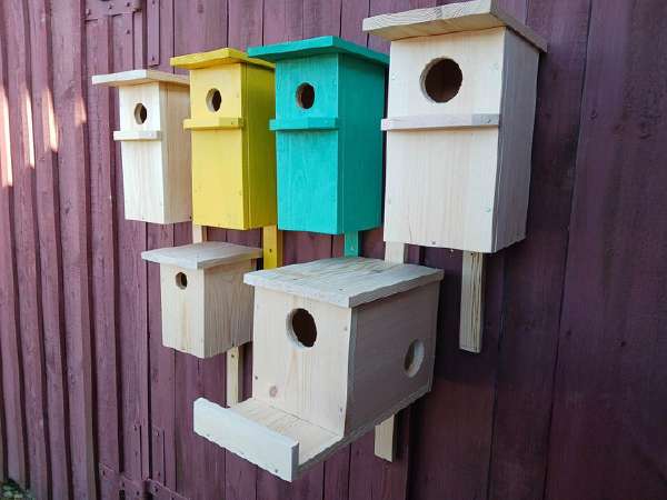 inkilai pauksciams skelbimai - Skelbiu.lt