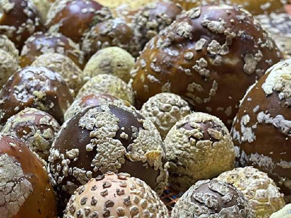 musmires skelbimai - Skelbiu.lt