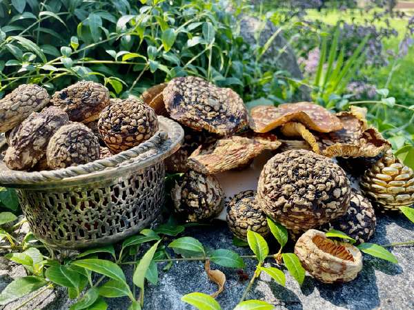 musmires skelbimai - Skelbiu.lt