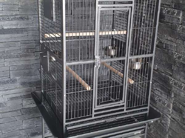 Narvas papūgoms - Skelbiu.lt