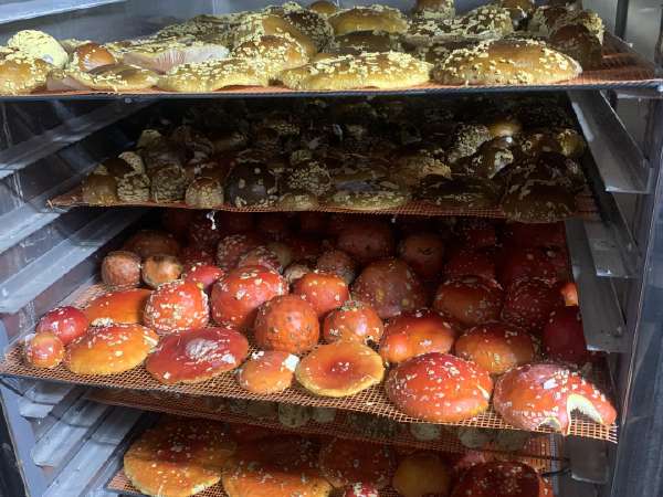 musmires skelbimai - Skelbiu.lt