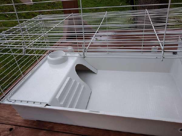 juros kiaulyt skelbimai - Skelbiu.lt