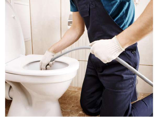 kriaukles atkimsimas skelbimai - Skelbiu.lt