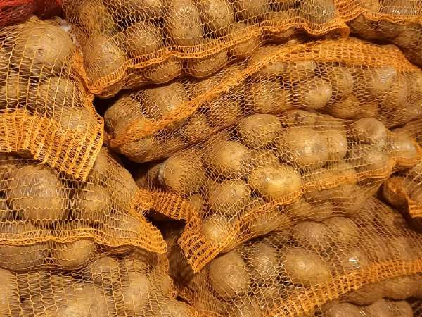 Sėklinio dydžio bulvės Laura, Vineta, Melody - Skelbiu.lt