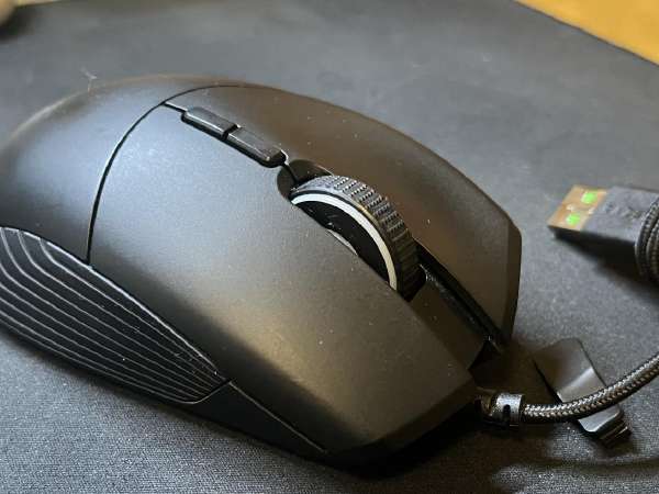 basilisk skelbimai - Skelbiu.lt