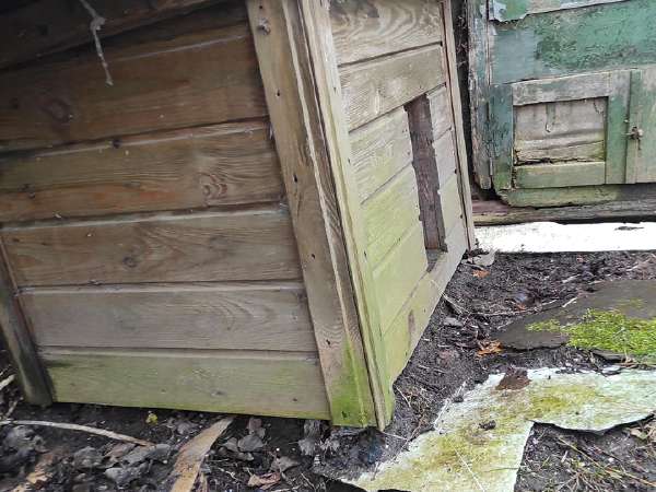 suns buda skelbimai - Skelbiu.lt