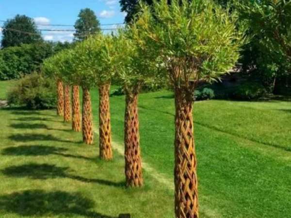 karklai skelbimai - Skelbiu.lt