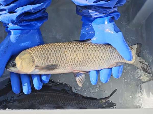 izuvinimui izuvinimas skelbimai - Skelbiu.lt