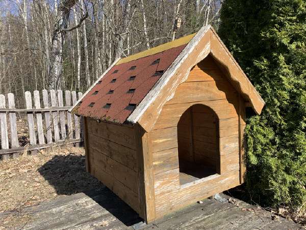 budos sunims skelbimai - Skelbiu.lt