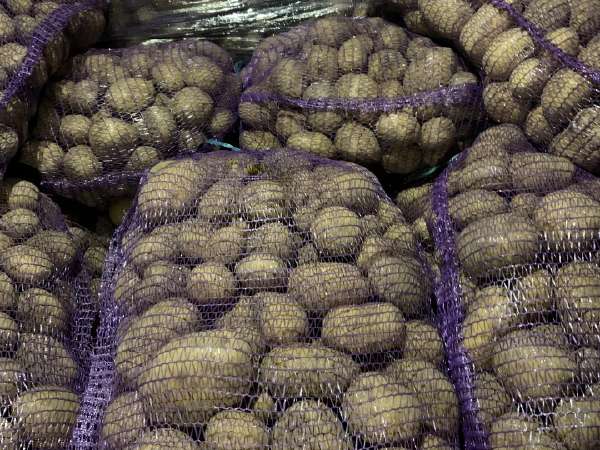 Parduodu bulves. - Skelbiu.lt