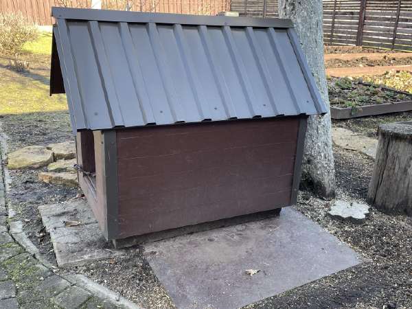 suns buda skelbimai - Skelbiu.lt