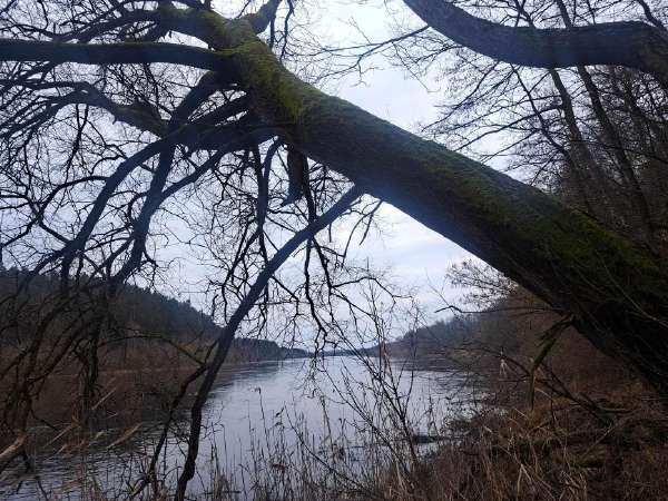 Ant Dusios ežero kranto gražus sklypas - Skelbiu.lt