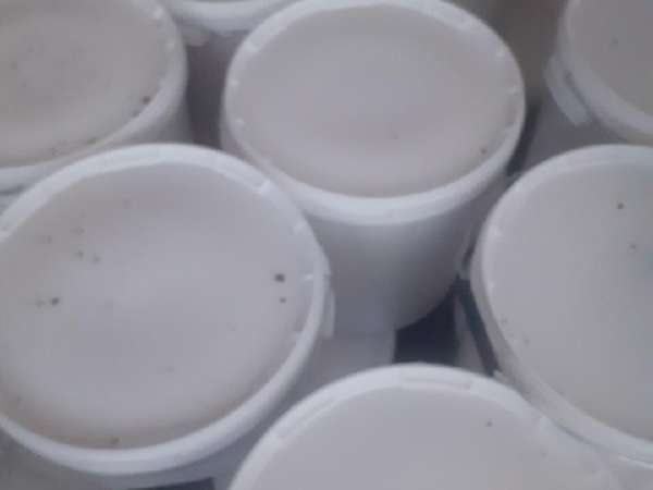 Medus kibirais - Skelbiu.lt