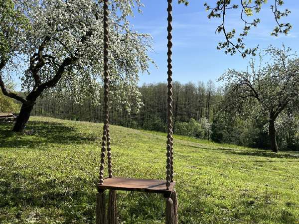 medines supynes skelbimai - Skelbiu.lt