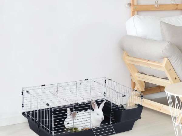 triusiu narvas skelbimai - Skelbiu.lt