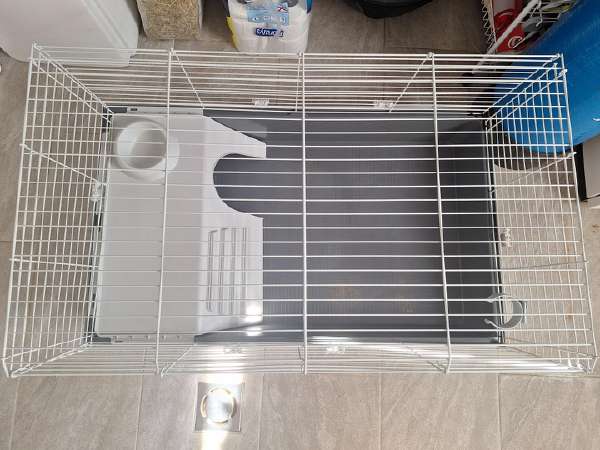 narvas triusiams skelbimai - Skelbiu.lt