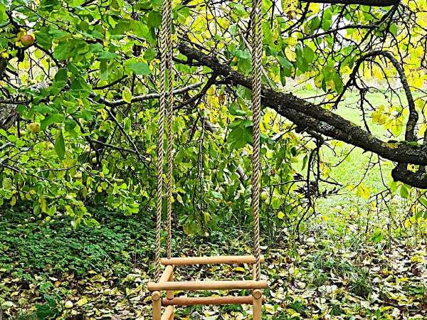 medines supynes skelbimai - Skelbiu.lt