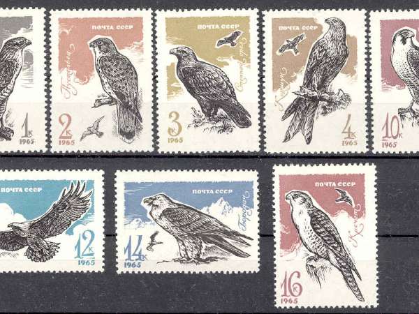 pauksciai skelbimai - Skelbiu.lt