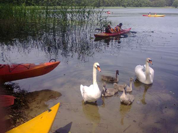 baidares skelbimai - Skelbiu.lt