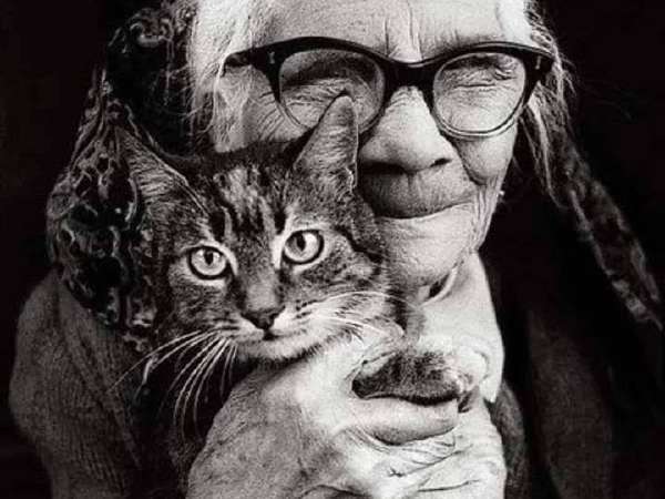 cv bankas kaunas skelbimai - Skelbiu.lt