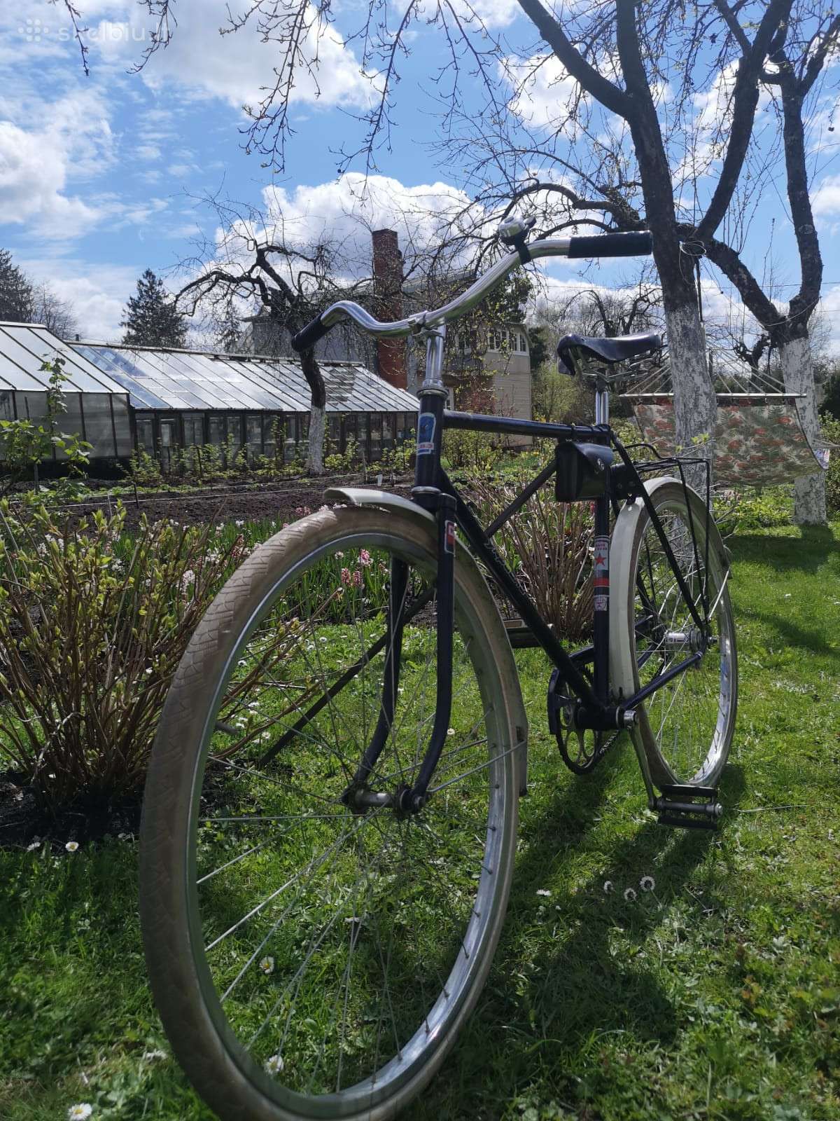 Miesto dviratis | A25493723