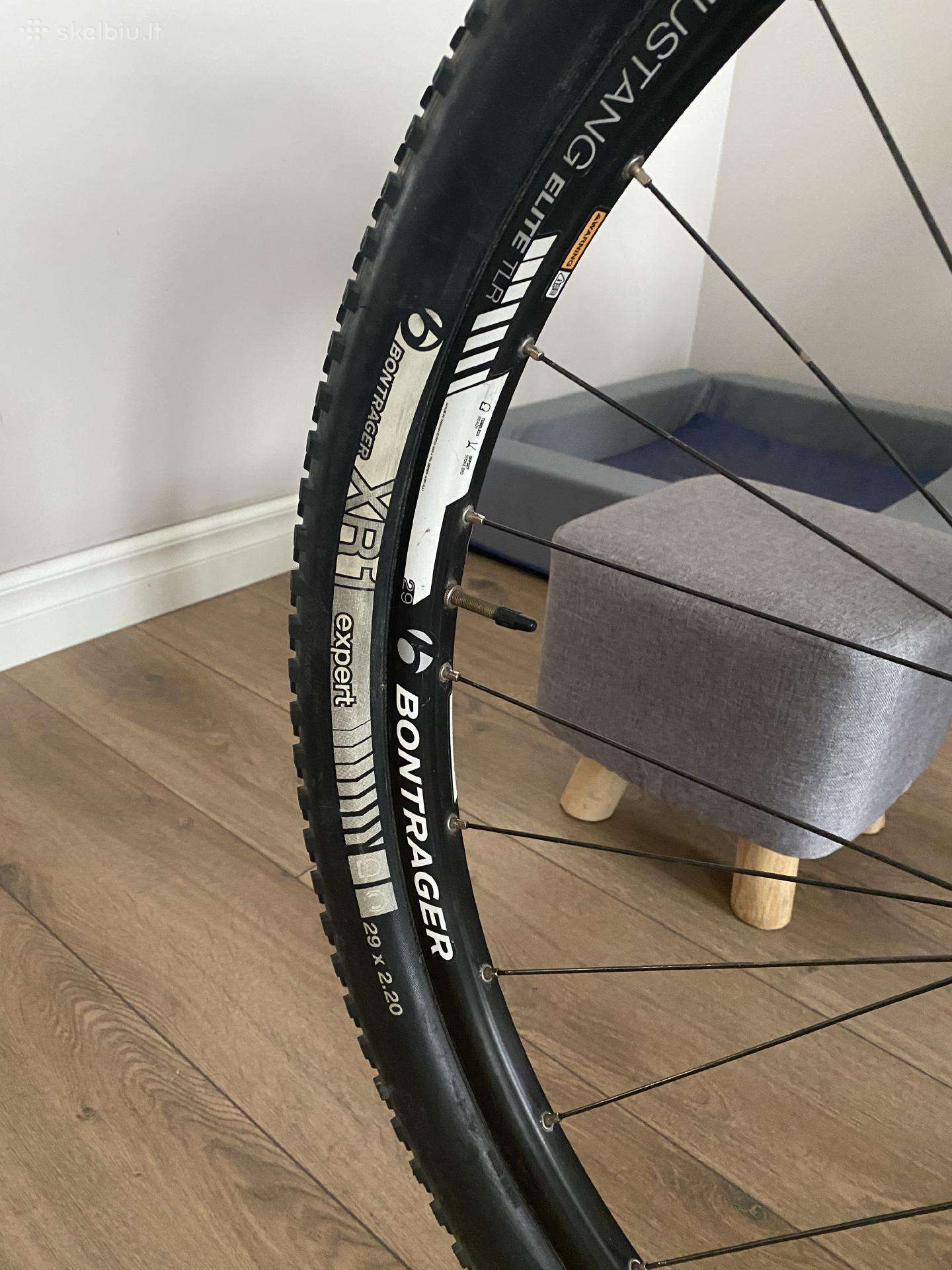 Kalnų dviratis Trek 29″ | A30122565
