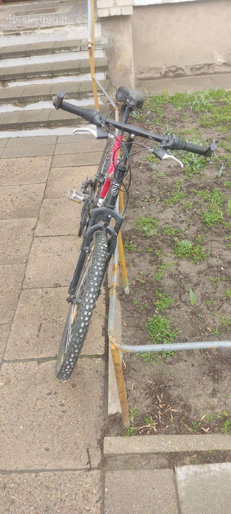 Kalnų dviratis Beaster | A25501489