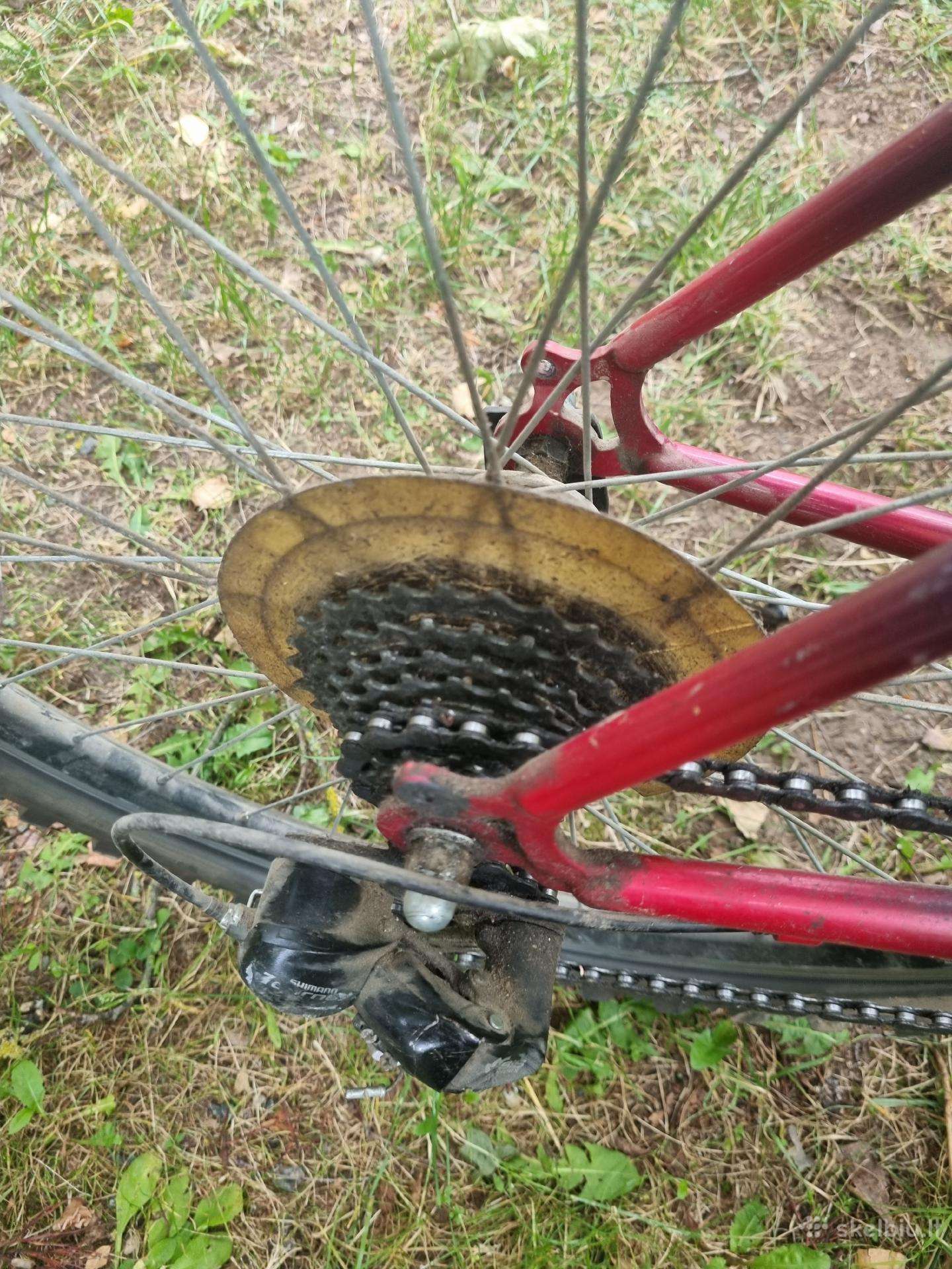 Kalnų dviratis | A25488063