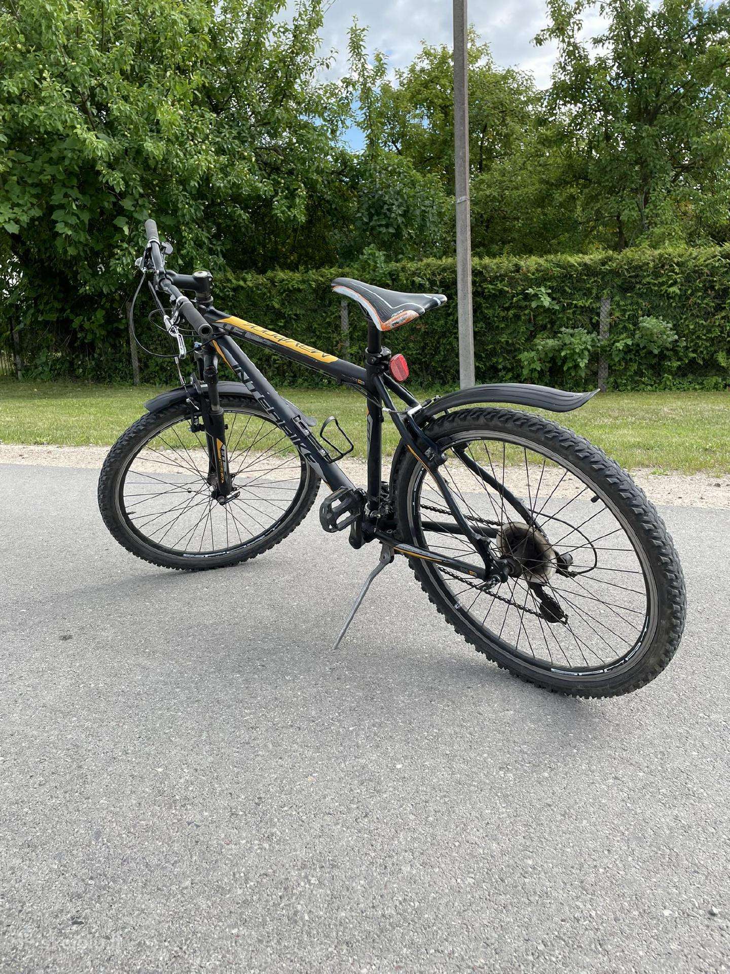 Kalnų dviratis | A25485185