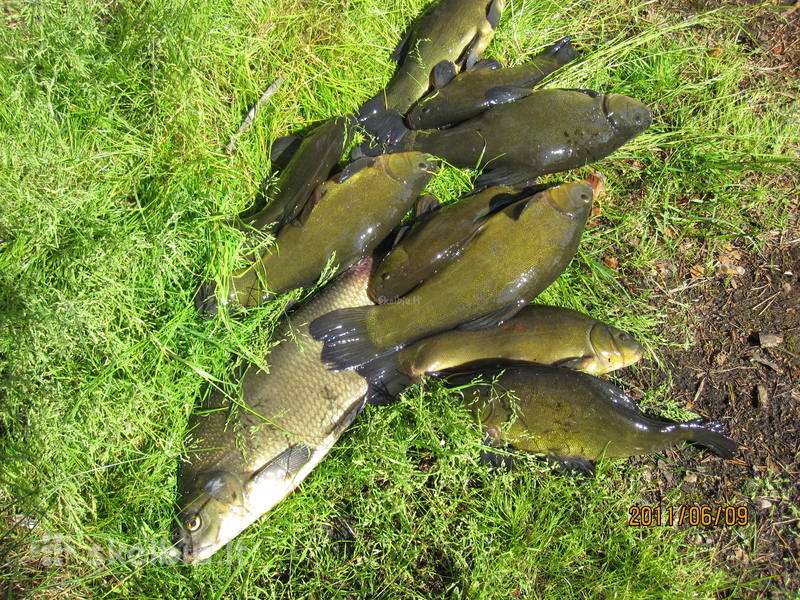 Kaimo turizmo sodyba "Atgal į Gamtą" - Skelbiu.lt