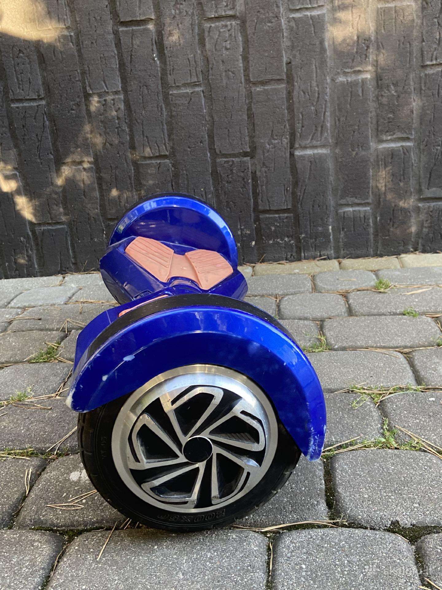 Riedis -kita- | A25488817