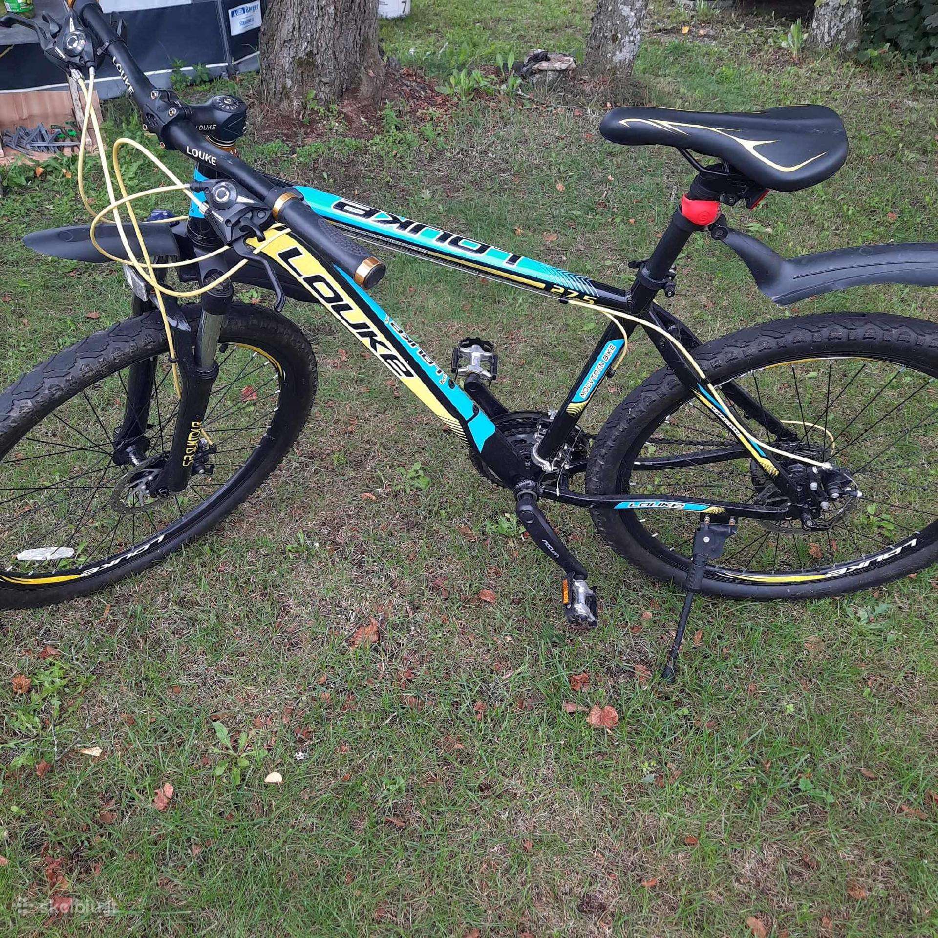 Kalnų dviratis | A25487757