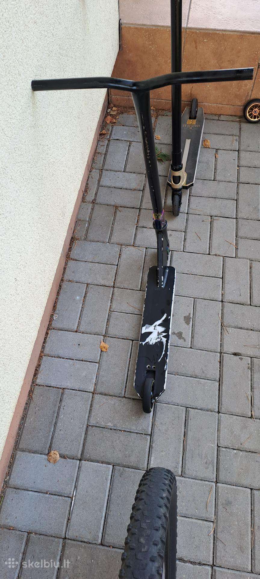 Triukinis paspirtukas Panda | A25488557