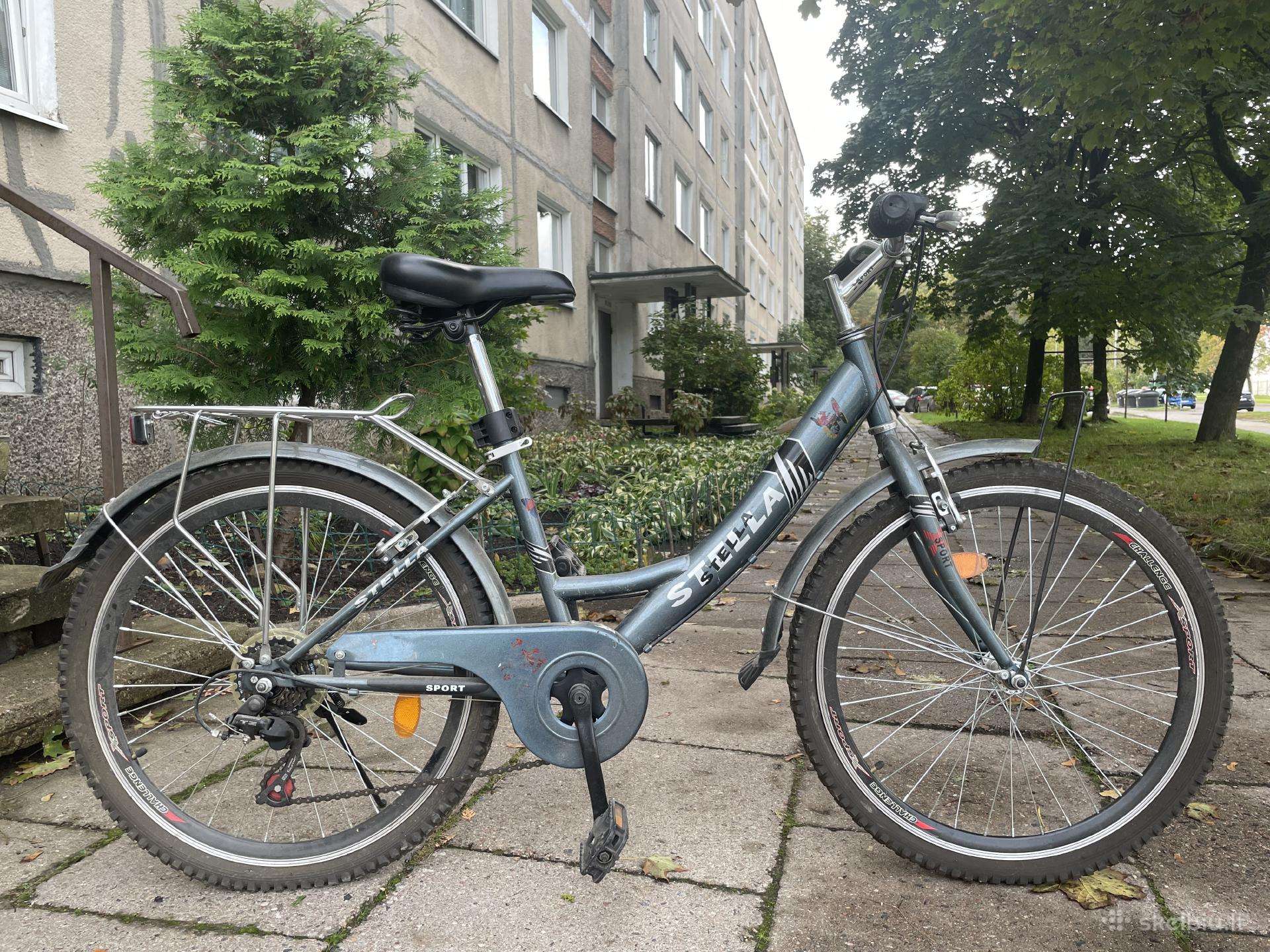 Miesto dviratis | A25488385